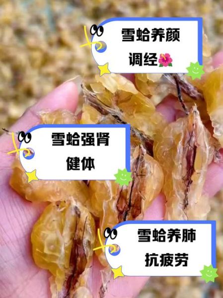 雪蛤的功效与作用_雪蛤怎么吃最好-第1张图片-山城妙识