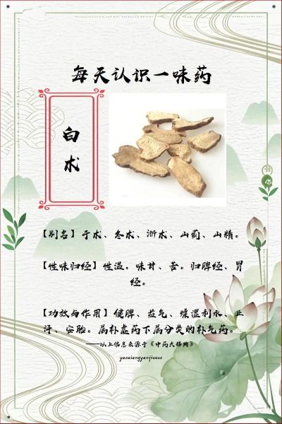 白术的功效与作用_白术的禁忌人群-第2张图片-山城妙识 白术的功效与作用_白术的禁忌人群-第2张图片-山城妙识