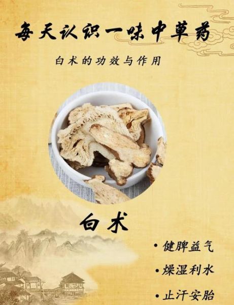 白术的功效与作用_白术的禁忌人群-第3张图片-山城妙识 白术的功效与作用_白术的禁忌人群-第3张图片-山城妙识