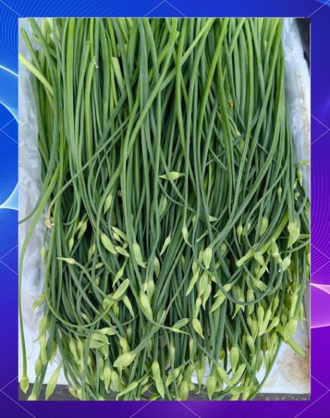 韭菜花怎么保存_韭菜花图片怎么拍好看-第3张图片-山城妙识