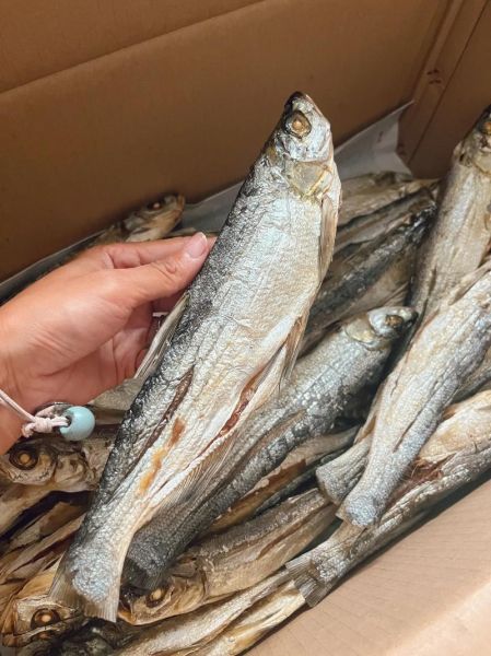 晒干鱼怎么保存_晒干鱼的做法大全-第1张图片-山城妙识