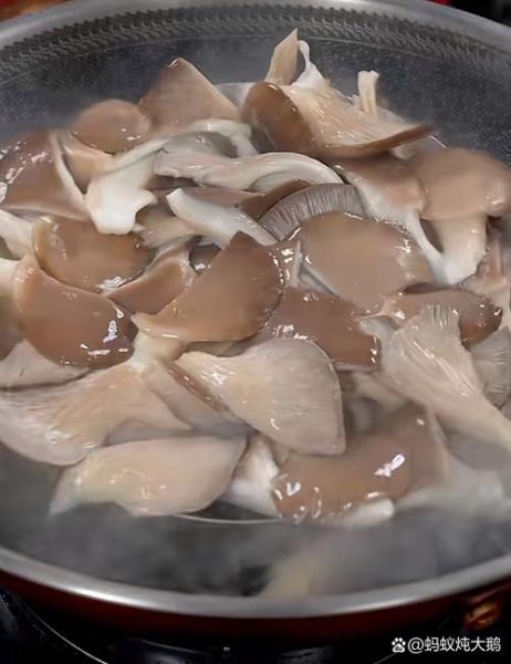 蘑菇需要焯水吗_焯水好处与风险-第3张图片-山城妙识 蘑菇需要焯水吗_焯水好处与风险-第3张图片-山城妙识