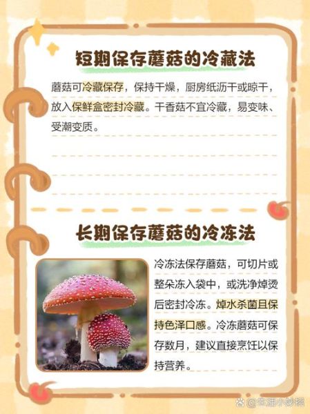 蘑菇需要焯水吗_焯水好处与风险-第2张图片-山城妙识 蘑菇需要焯水吗_焯水好处与风险-第2张图片-山城妙识