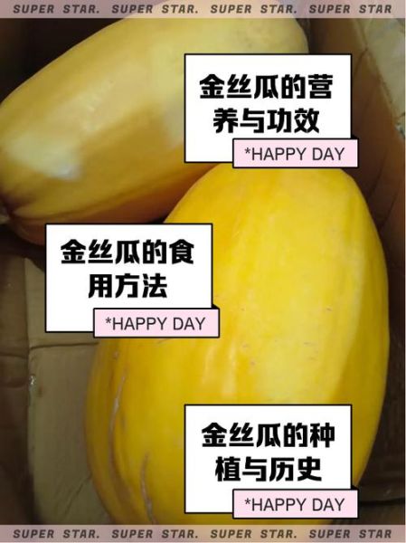 金丝瓜的做法_金丝瓜的功效与作用-第1张图片-山城妙识