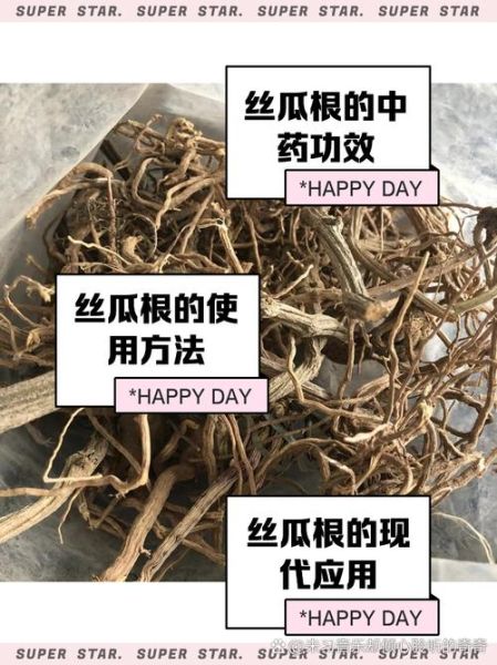 丝瓜根治疗鼻炎的做法_丝瓜根煮水能治鼻炎吗-第2张图片-山城妙识 丝瓜根治疗鼻炎的做法_丝瓜根煮水能治鼻炎吗-第2张图片-山城妙识