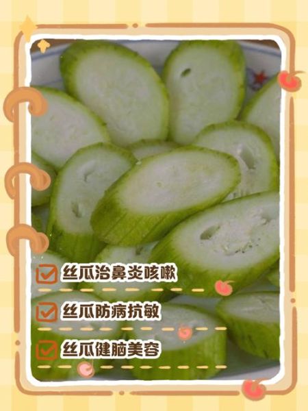 丝瓜根治疗鼻炎的做法_丝瓜根煮水能治鼻炎吗-第3张图片-山城妙识 丝瓜根治疗鼻炎的做法_丝瓜根煮水能治鼻炎吗-第3张图片-山城妙识