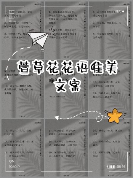 花语短句唯美句子有哪些_如何写出打动人心的花语文案-第3张图片-山城妙识