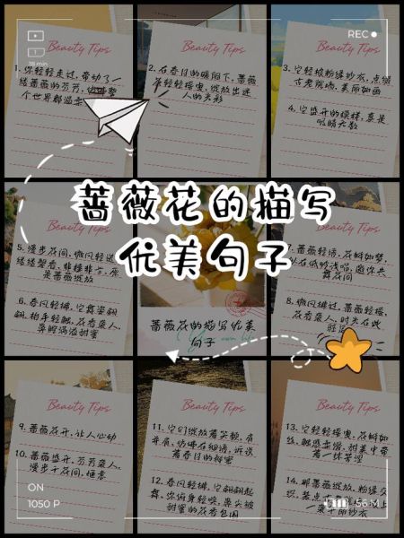 花语短句唯美句子有哪些_如何写出打动人心的花语文案-第1张图片-山城妙识