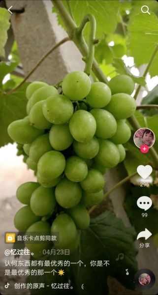 葡萄视频怎么下载_葡萄视频打不开怎么办-第3张图片-山城妙识