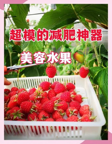 红树莓图片_红树莓的功效与作用-第3张图片-山城妙识