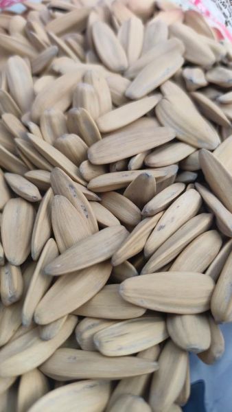 打瓜子图片_打瓜子怎么保存-第1张图片-山城妙识