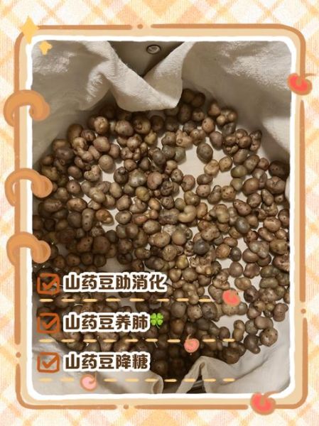 山药豆怎么去皮最快_山药豆去皮的小妙招-第1张图片-山城妙识