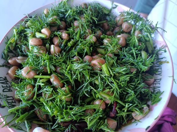 炒茴香苗怎么炒好吃_炒茴香苗要不要焯水-第3张图片-山城妙识