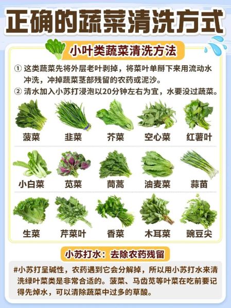 色拉蔬菜有哪些_色拉蔬菜怎么洗才干净-第1张图片-山城妙识
