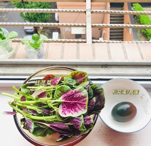 苋菜皮蛋汤怎么做_苋菜皮蛋汤做法大全-第1张图片-山城妙识 苋菜皮蛋汤怎么做_苋菜皮蛋汤做法大全-第1张图片-山城妙识