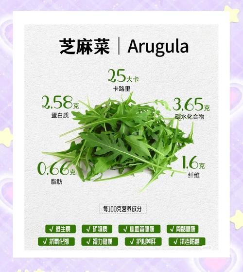 芝麻菜怎么吃_芝麻菜的做法大全-第1张图片-山城妙识