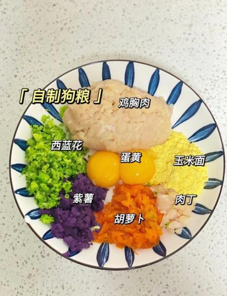 自制狗粮怎么保存_能放多久-第1张图片-山城妙识 自制狗粮怎么保存_能放多久-第1张图片-山城妙识