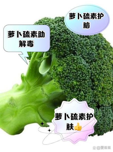 萝卜硫素保健品怎么吃_萝卜硫素保健品有副作用吗-第1张图片-山城妙识