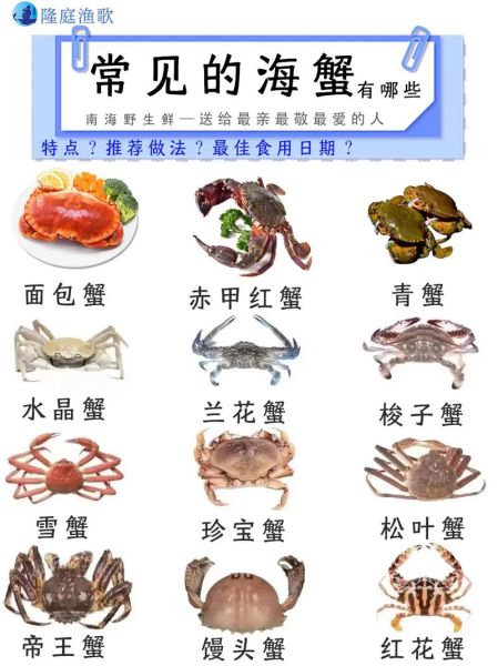 海里螃蟹的种类有哪些_如何区分常见海蟹-第1张图片-山城妙识 海里螃蟹的种类有哪些_如何区分常见海蟹-第1张图片-山城妙识