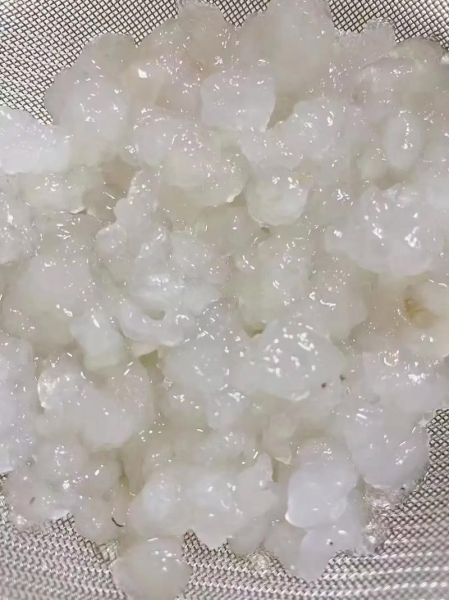 雪蛤致癌是真的吗_雪蛤雌激素含量真相-第3张图片-山城妙识