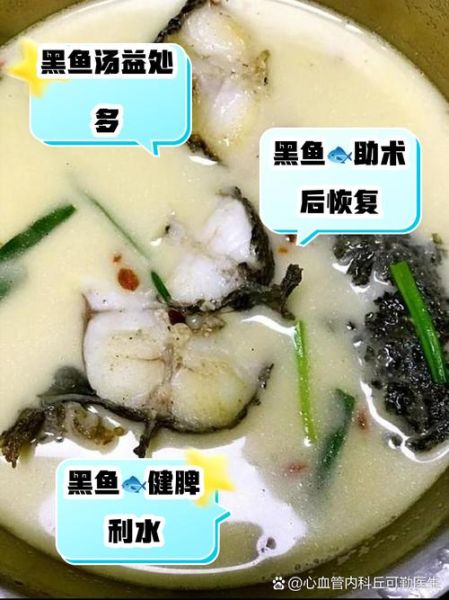 黑鱼汤怎么做最有营养_黑鱼汤孕妇能喝吗-第3张图片-山城妙识 黑鱼汤怎么做最有营养_黑鱼汤孕妇能喝吗-第3张图片-山城妙识
