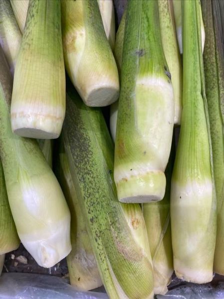 茭白是什么蔬菜_茭白怎么吃最好-第1张图片-山城妙识