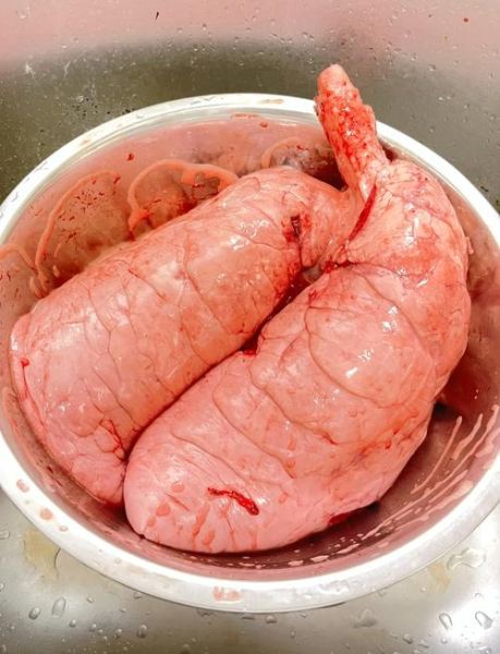 猪肺怎么做好吃_猪肺汤的家常做法-第1张图片-山城妙识