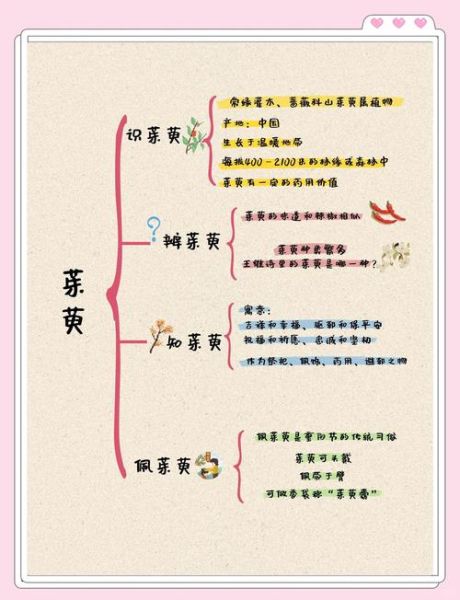 重阳节插茱萸的寓意是什么_茱萸辟邪传说由来-第2张图片-山城妙识 重阳节插茱萸的寓意是什么_茱萸辟邪传说由来-第2张图片-山城妙识