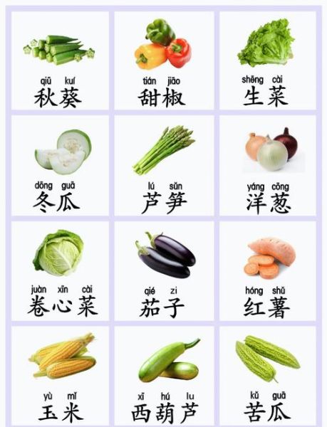 蔬菜大全名字带拼音_蔬菜名称拼音怎么写-第1张图片-山城妙识