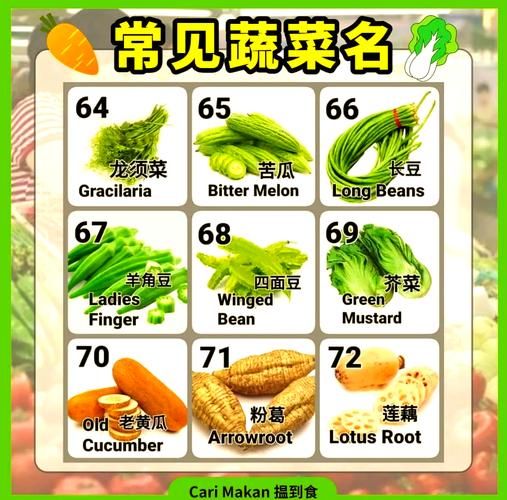 蔬菜大全名字带拼音_蔬菜名称拼音怎么写-第2张图片-山城妙识