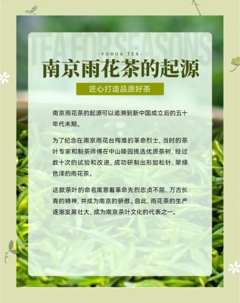 南京雨花茶是什么茶_南京雨花茶属于什么茶类-第2张图片-山城妙识