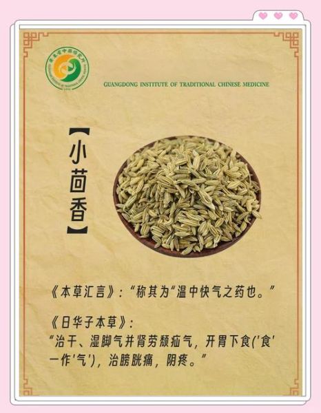 小茴香的功效与作用及禁忌_哪些人不能吃小茴香-第1张图片-山城妙识