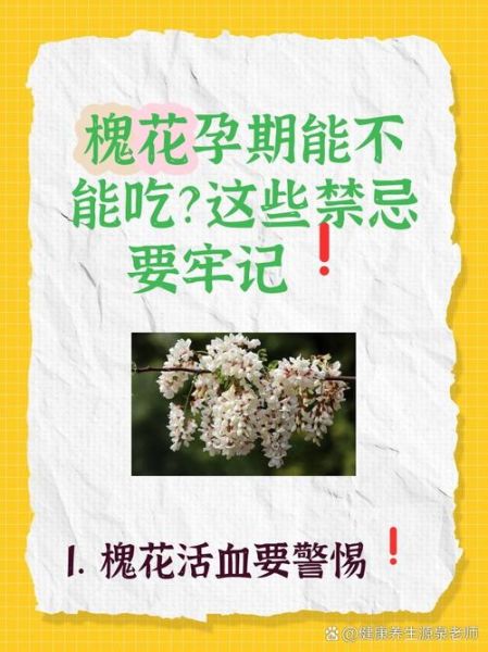 孕妇晚期能吃槐花吗_槐花对胎儿有影响吗-第1张图片-山城妙识