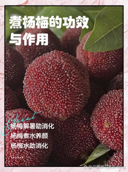 杨梅煮水喝有什么功效_杨梅煮水的正确做法-第2张图片-山城妙识