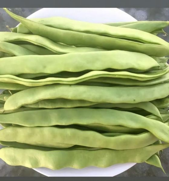 吃了八分熟的芸豆会中毒吗_芸豆中毒症状-第1张图片-山城妙识