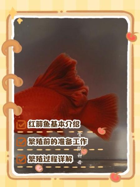 红剑鱼怎么养_红剑鱼图片大全-第2张图片-山城妙识