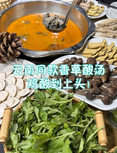 酸汤鸡火锅怎么做_酸汤鸡火锅底料配方-第2张图片-山城妙识 酸汤鸡火锅怎么做_酸汤鸡火锅底料配方-第2张图片-山城妙识