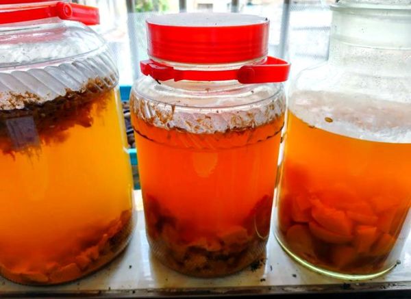 水果酵素的做法与配比_水果酵素怎么做才成功-第1张图片-山城妙识