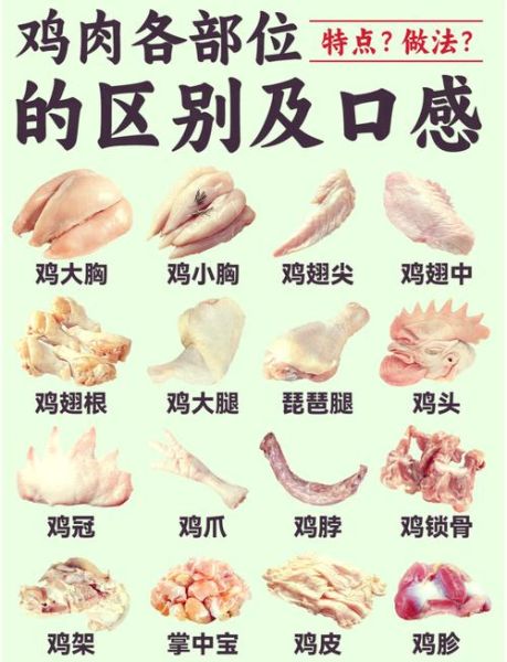 鸡子是什么部位_鸡子与鸡蛋的区别-第1张图片-山城妙识