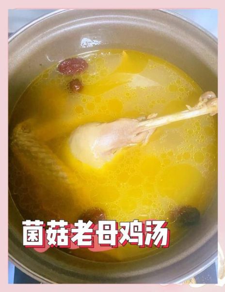 老母鸡汤怎么炖好喝_老母鸡汤的功效与作用-第2张图片-山城妙识 老母鸡汤怎么炖好喝_老母鸡汤的功效与作用-第2张图片-山城妙识