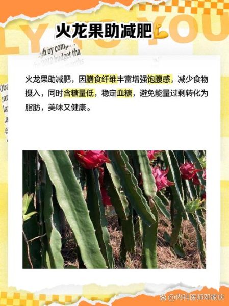 女人吃火龙果有什么好处_女人吃火龙果能减肥吗-第3张图片-山城妙识 女人吃火龙果有什么好处_女人吃火龙果能减肥吗-第3张图片-山城妙识
