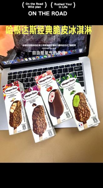 哈根达斯冰淇淋加盟条件_哈根达斯冰淇淋加盟费用-第1张图片-山城妙识