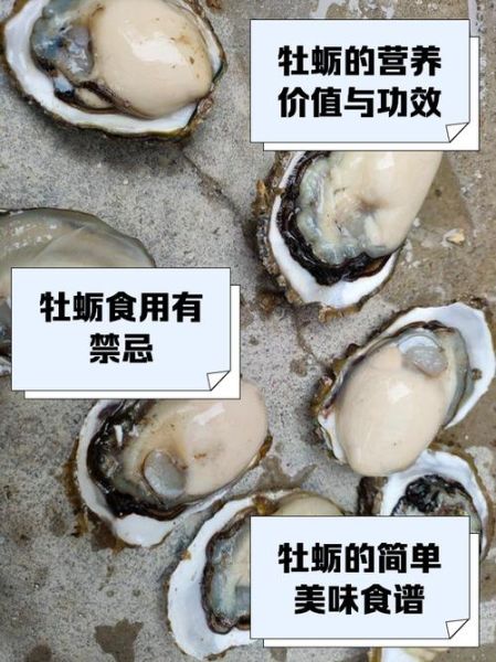 牡蛎补肾吗_牡蛎怎么吃最壮阳-第1张图片-山城妙识