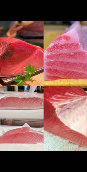 金枪鱼多少钱一斤今日行情_新鲜蓝鳍金枪鱼价格-第1张图片-山城妙识