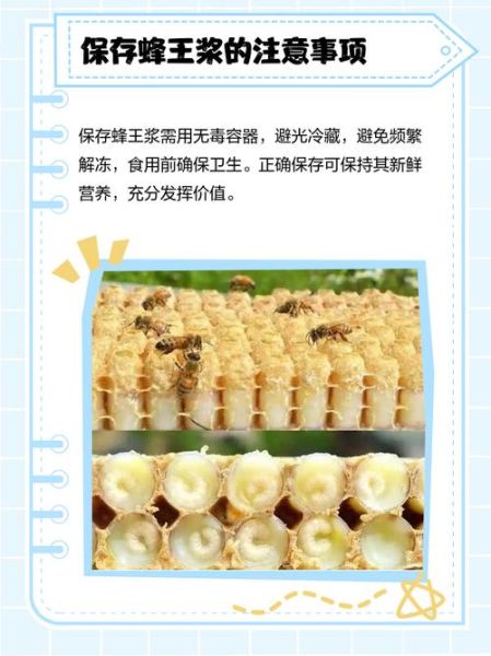 蜂王浆怎样保存更好_蜂王浆冷藏还是冷冻-第2张图片-山城妙识