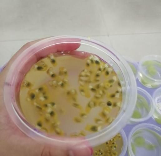 家庭自制果冻怎么做_自制果冻需要哪些材料-第3张图片-山城妙识