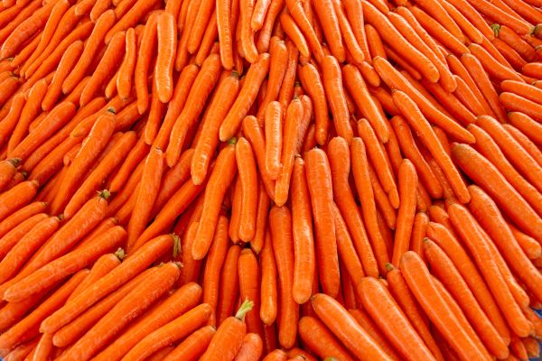 红萝卜图片大全大图_红萝卜怎么挑最新鲜-第2张图片-山城妙识 红萝卜图片大全大图_红萝卜怎么挑最新鲜-第2张图片-山城妙识