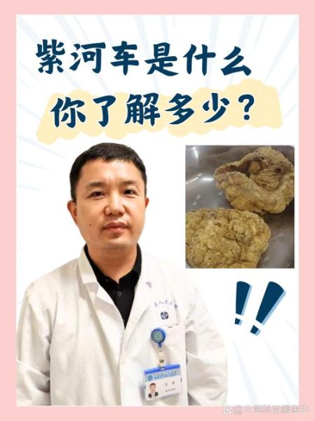 紫河车是什么_紫河车功效与作用-第2张图片-山城妙识