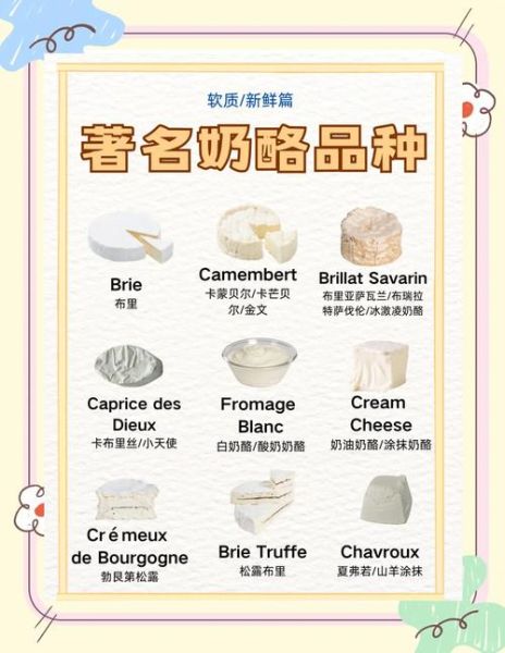 世界奶酪十大名牌有哪些_如何挑选正宗奶酪-第2张图片-山城妙识 世界奶酪十大名牌有哪些_如何挑选正宗奶酪-第2张图片-山城妙识