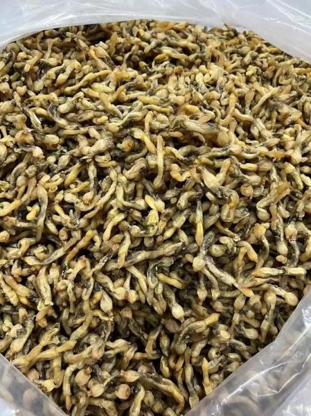 干蛏子肉怎么泡发_干蛏子肉的做法大全-第3张图片-山城妙识